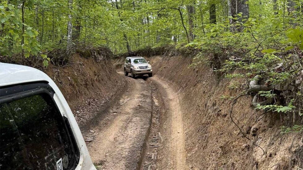 Rader Ridge | Daniel Boone Backcountry Byway